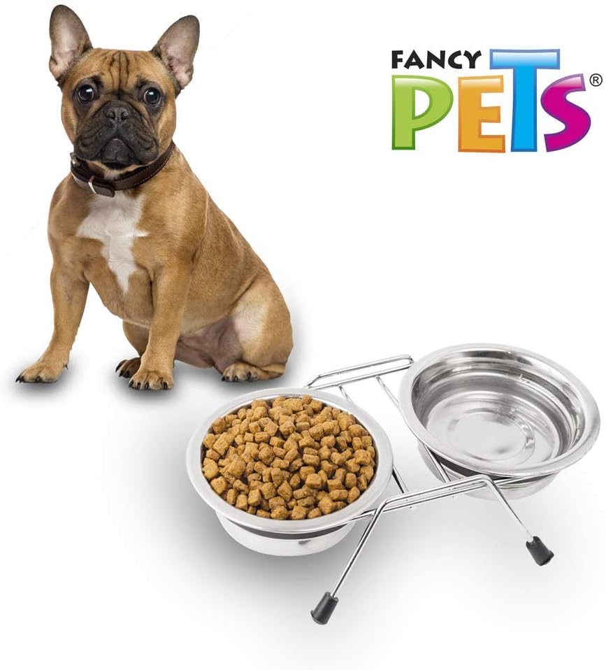 Fancy Pets Platos de Acero Comedero Doble — Petnation