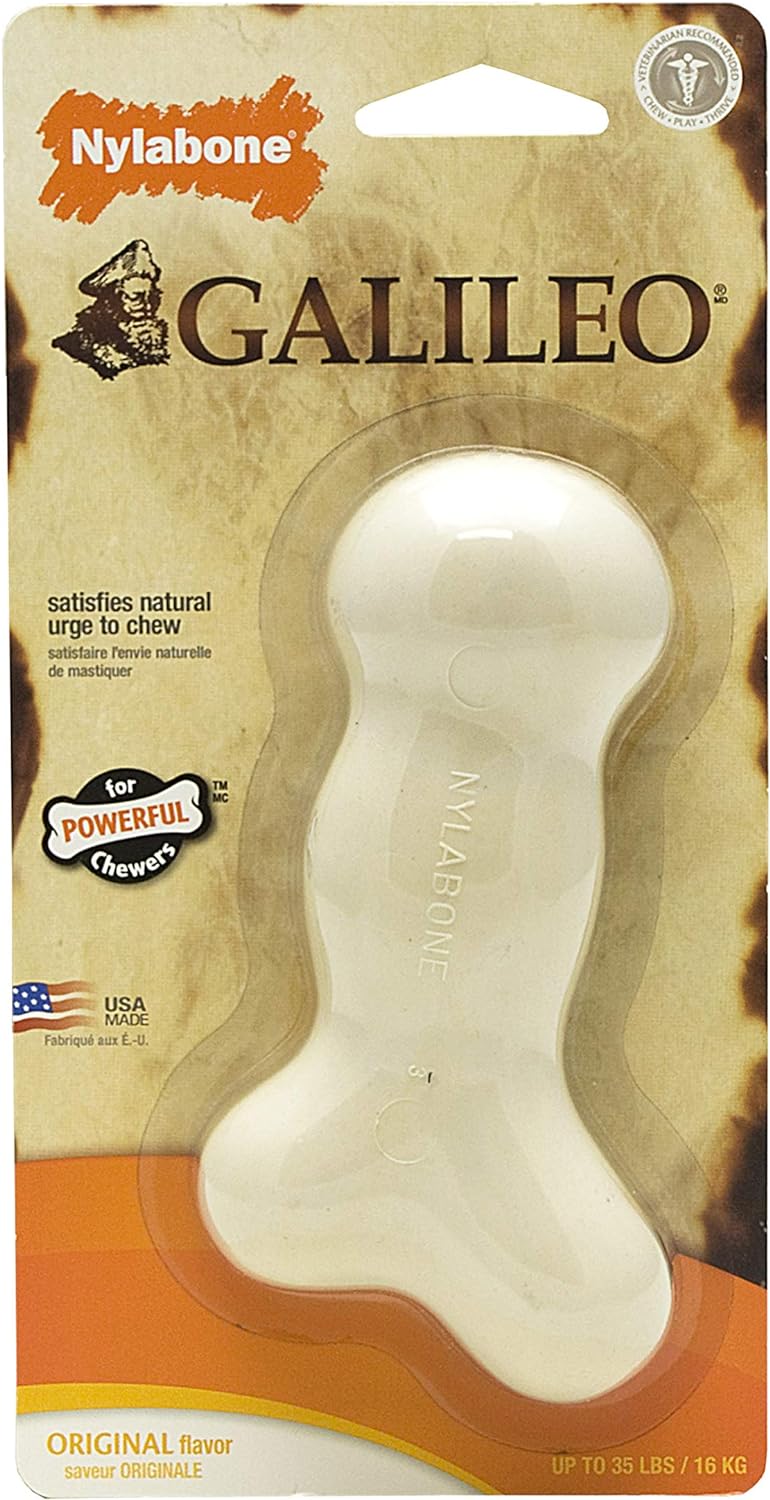 Nylabone Dura-Chew Juguete Galileo Original — Petnation