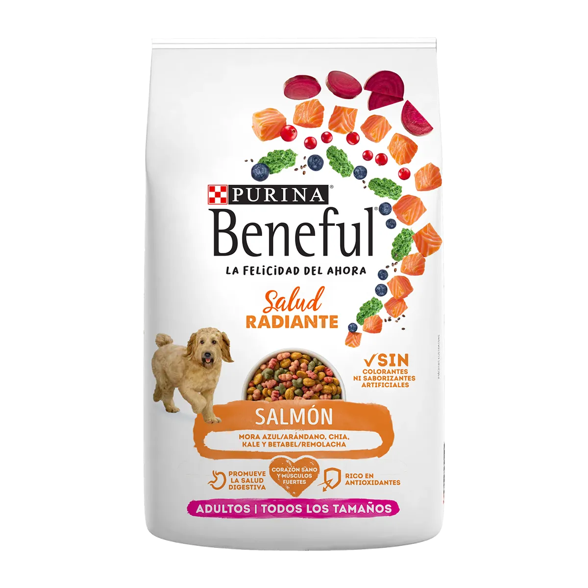 BENEFUL ADULTO Salud Radiante SMini 10 kg — Petnation